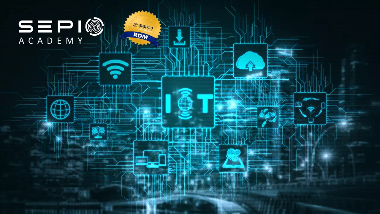 Sepio Agent Installation